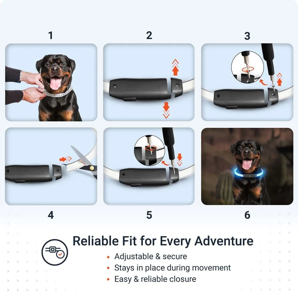PAJ LIGHT Luminous collar for dogs - PAJ GPS Accessories