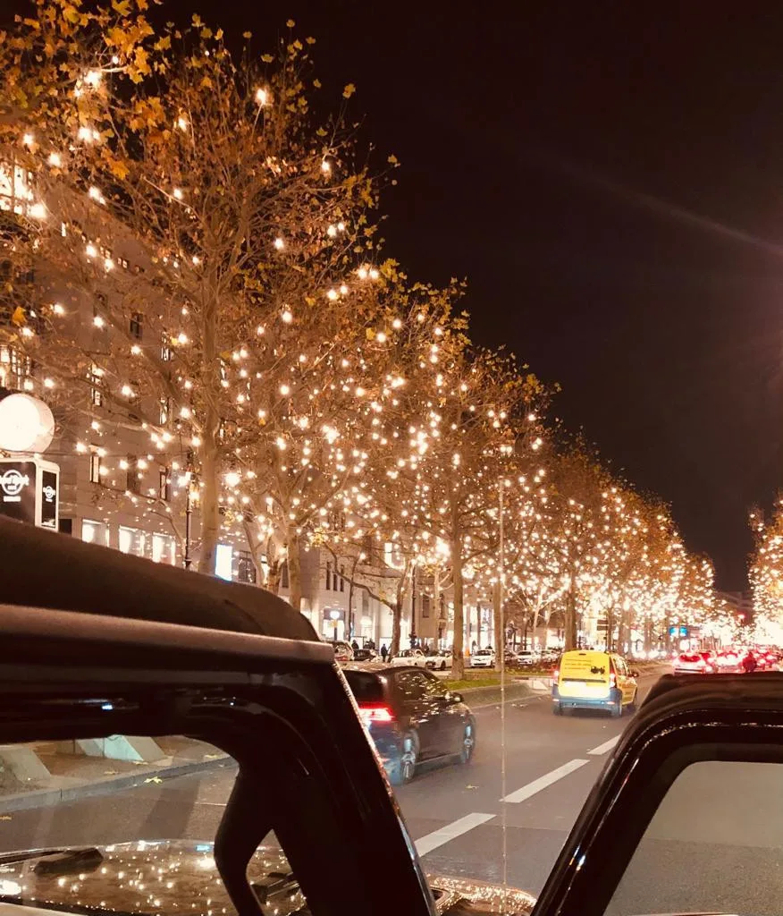 Thief Caught Thanks to the PAJ App - PAJ GPS Tracker